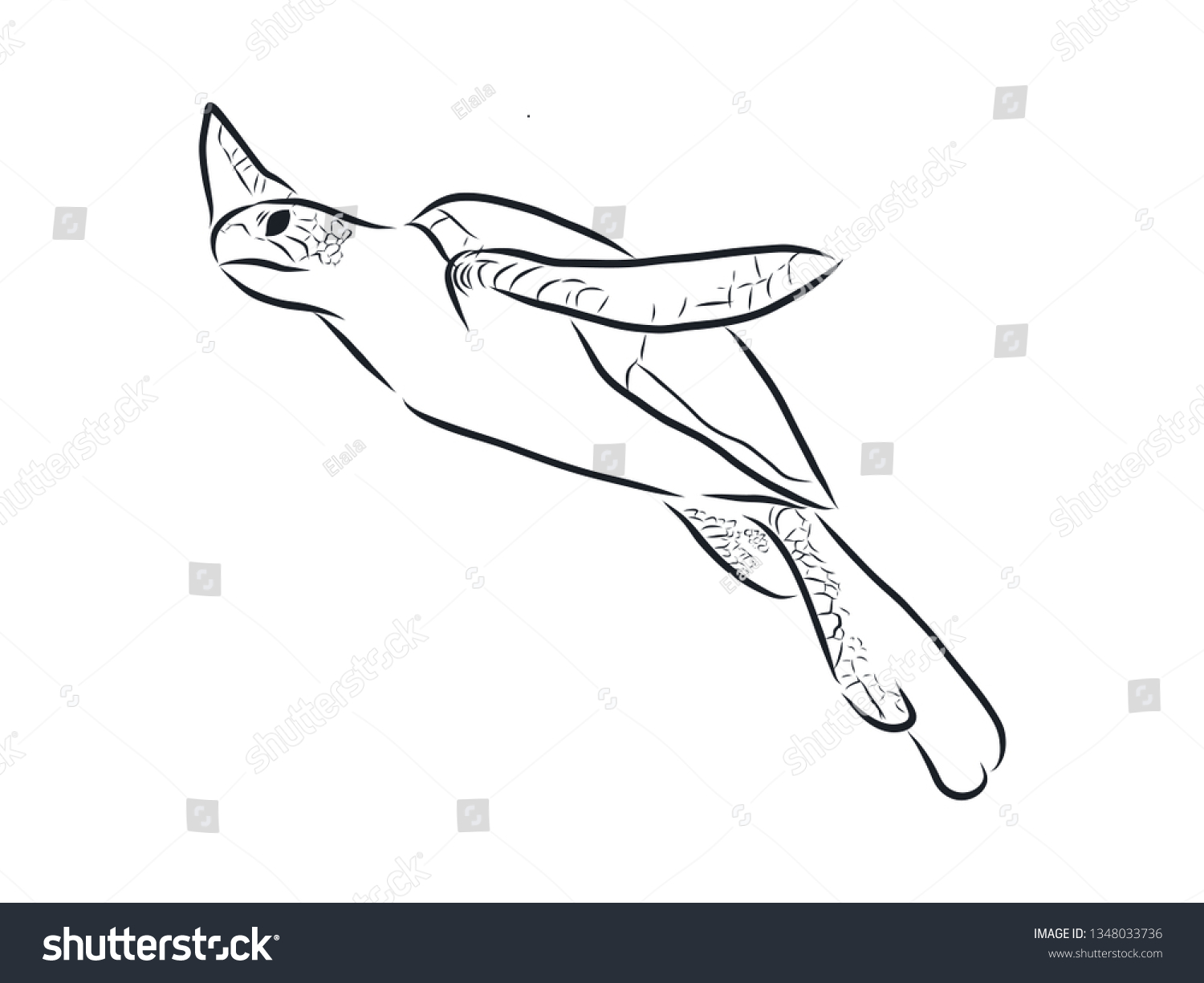 Sea Turtle Contour Vector Illustration Stock Vector (Royalty Free ...
