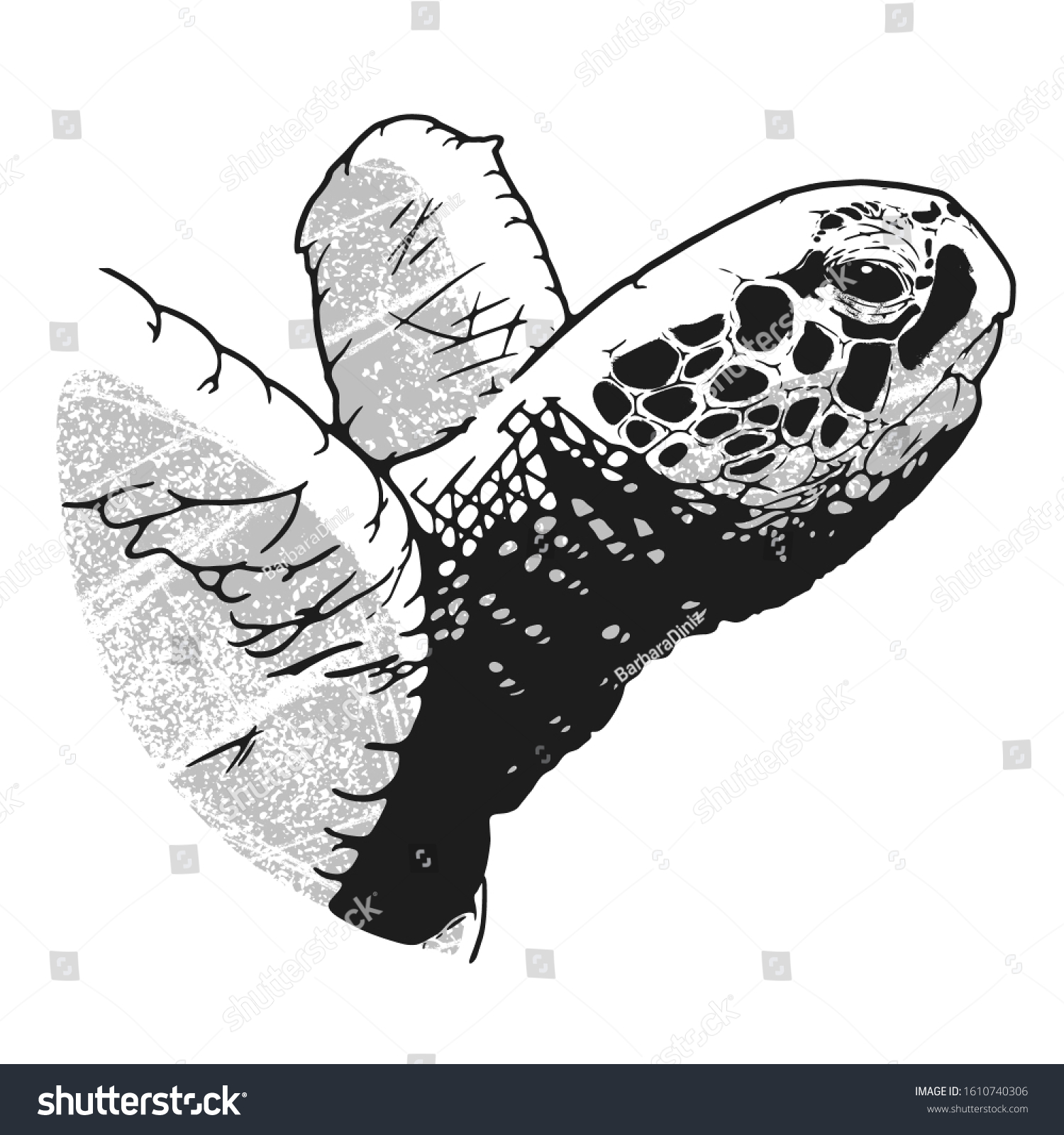 Sea Turtle Head Vector Illustration Stock Vector (Royalty Free) 1610740306