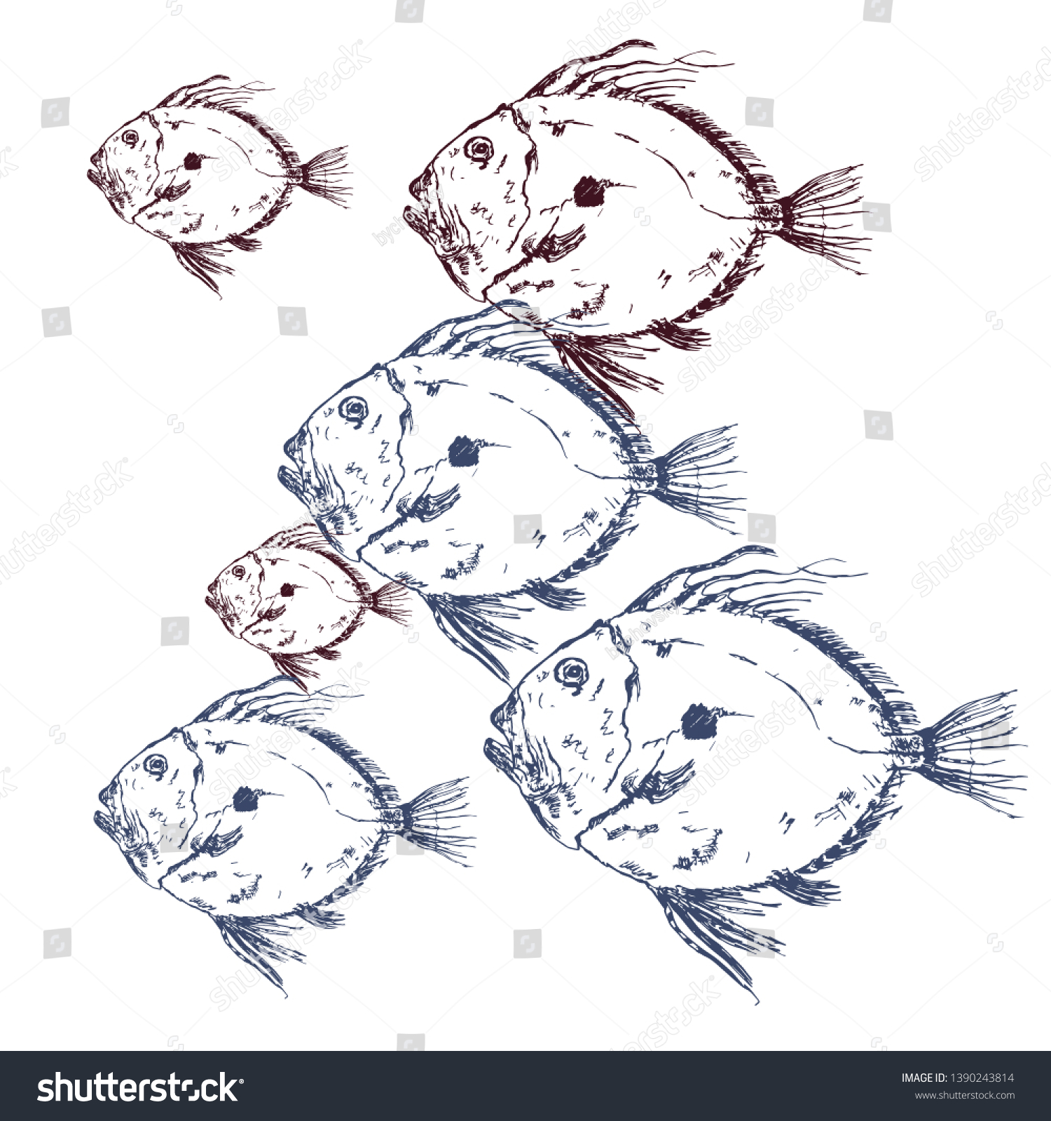 Seafood Fish Restaurant Vector Poster Menu 库存矢量图（免版税）1390243814 ...