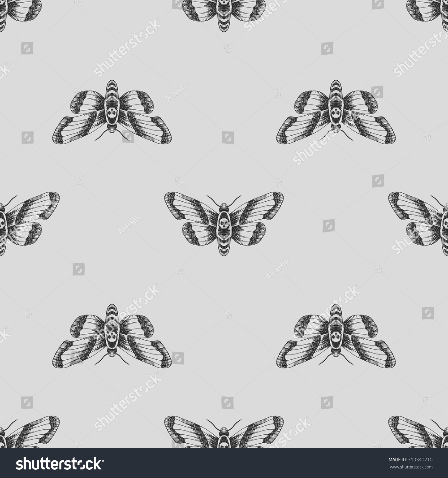 92,001 Moth pattern Images, Stock Photos & Vectors | Shutterstock