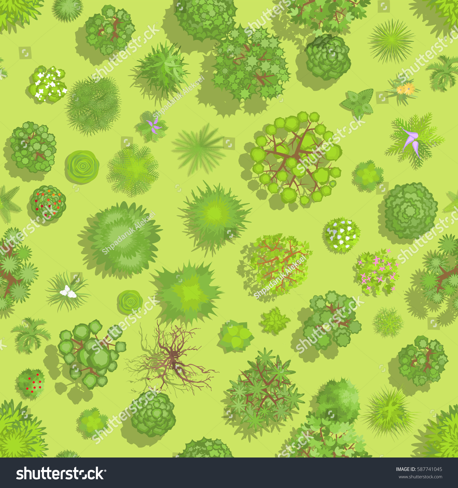Seamless Pattern Forest Top View Park Stock Vector (Royalty Free ...