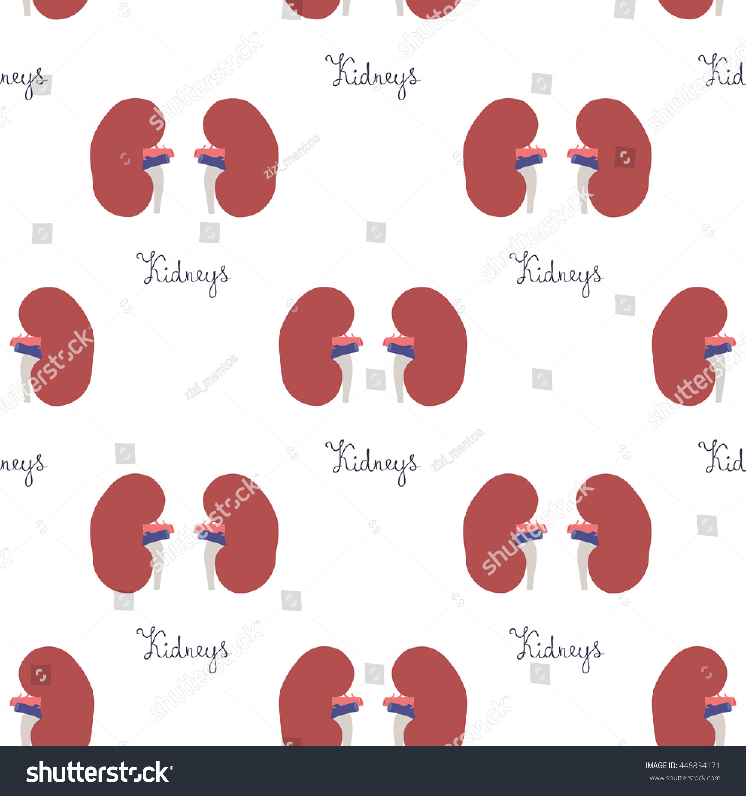 Seamless Pattern Human Kidneys Vector Illustration: เวกเตอร์สต็อก (ปลอด ...