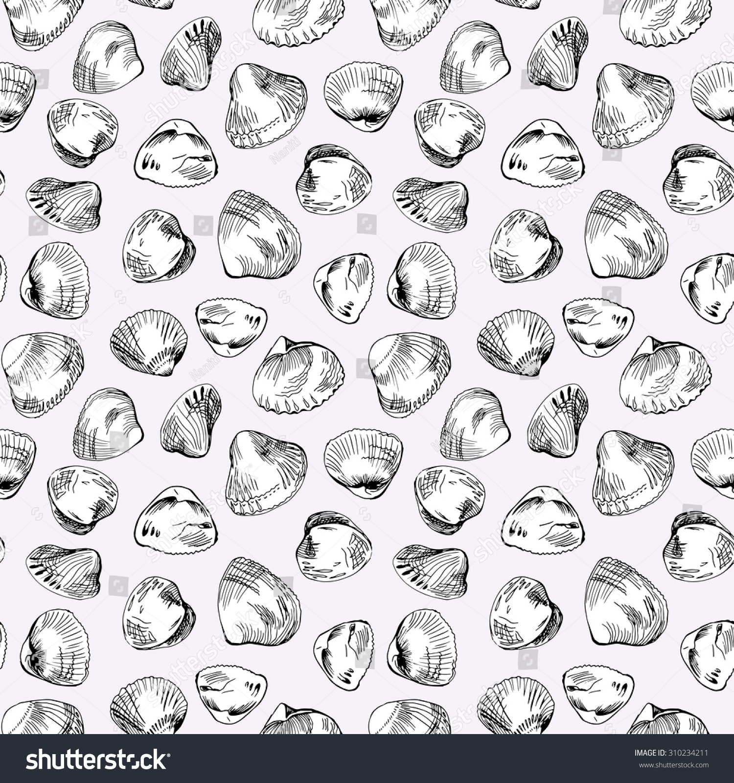 Seamless Pattern Different Hand Drawn Shells Stock Vector (Royalty Free ...