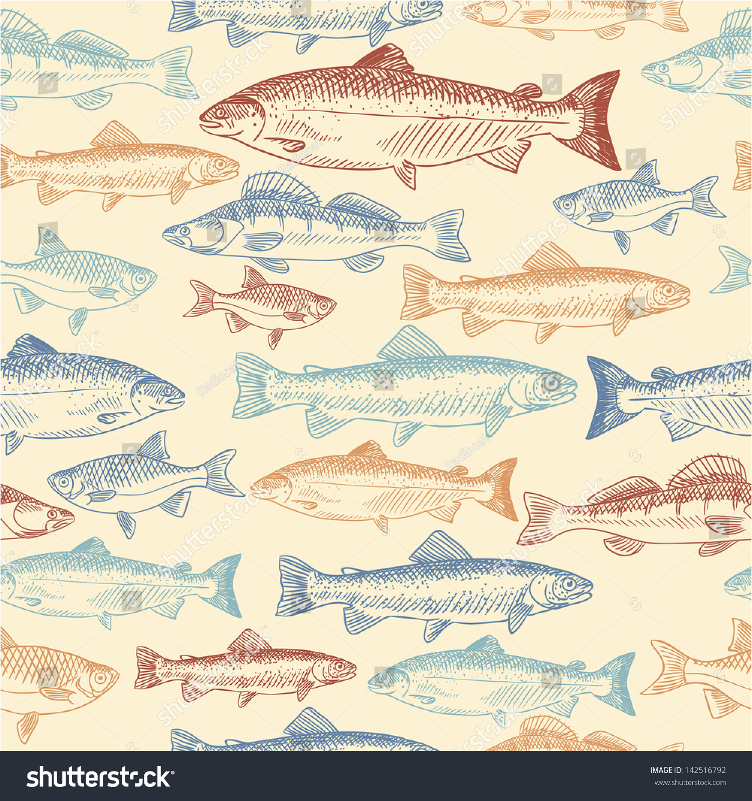 Seamless Pattern With Hand Drawn Fish Stock Vector Illustration ...