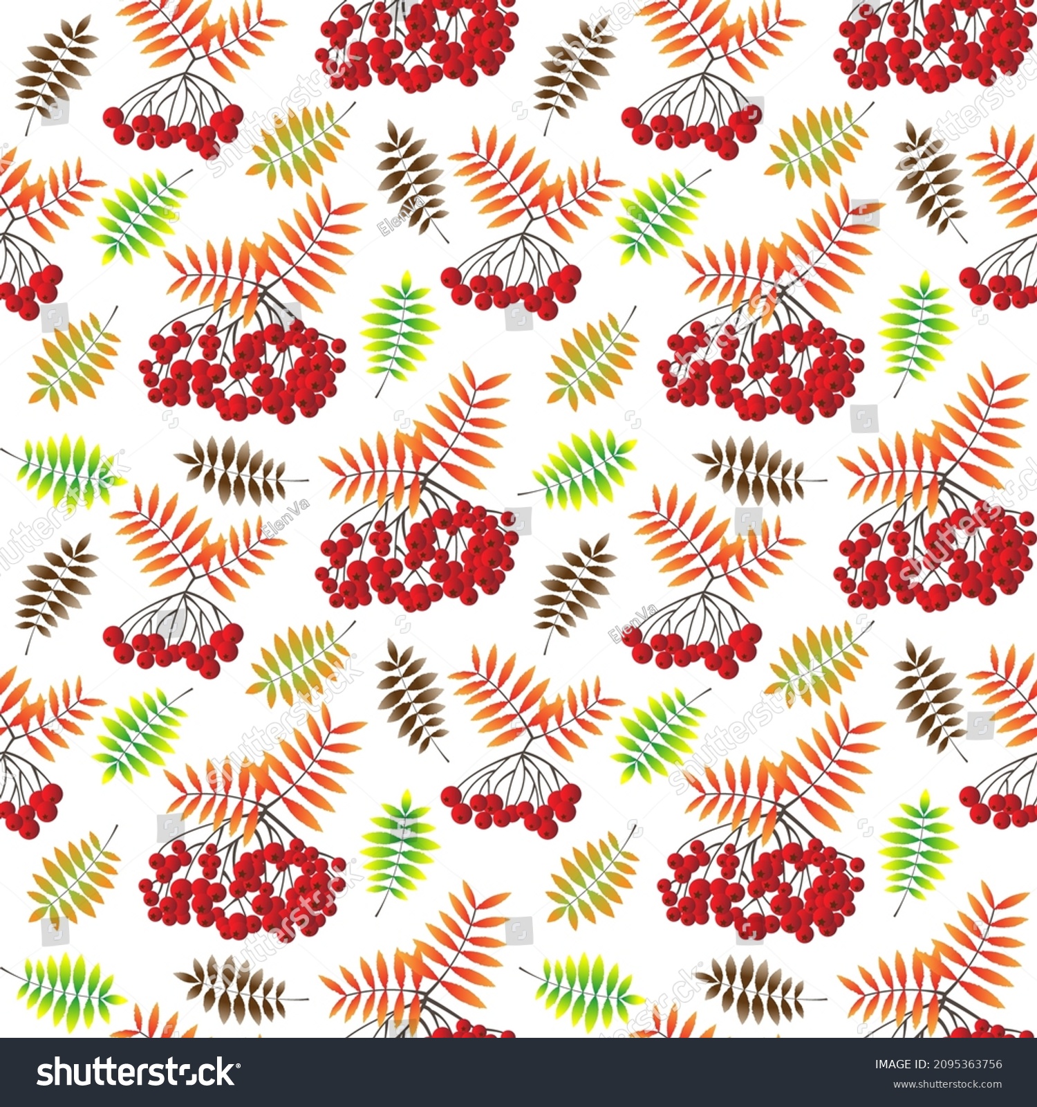 22 Wildash Images, Stock Photos & Vectors | Shutterstock