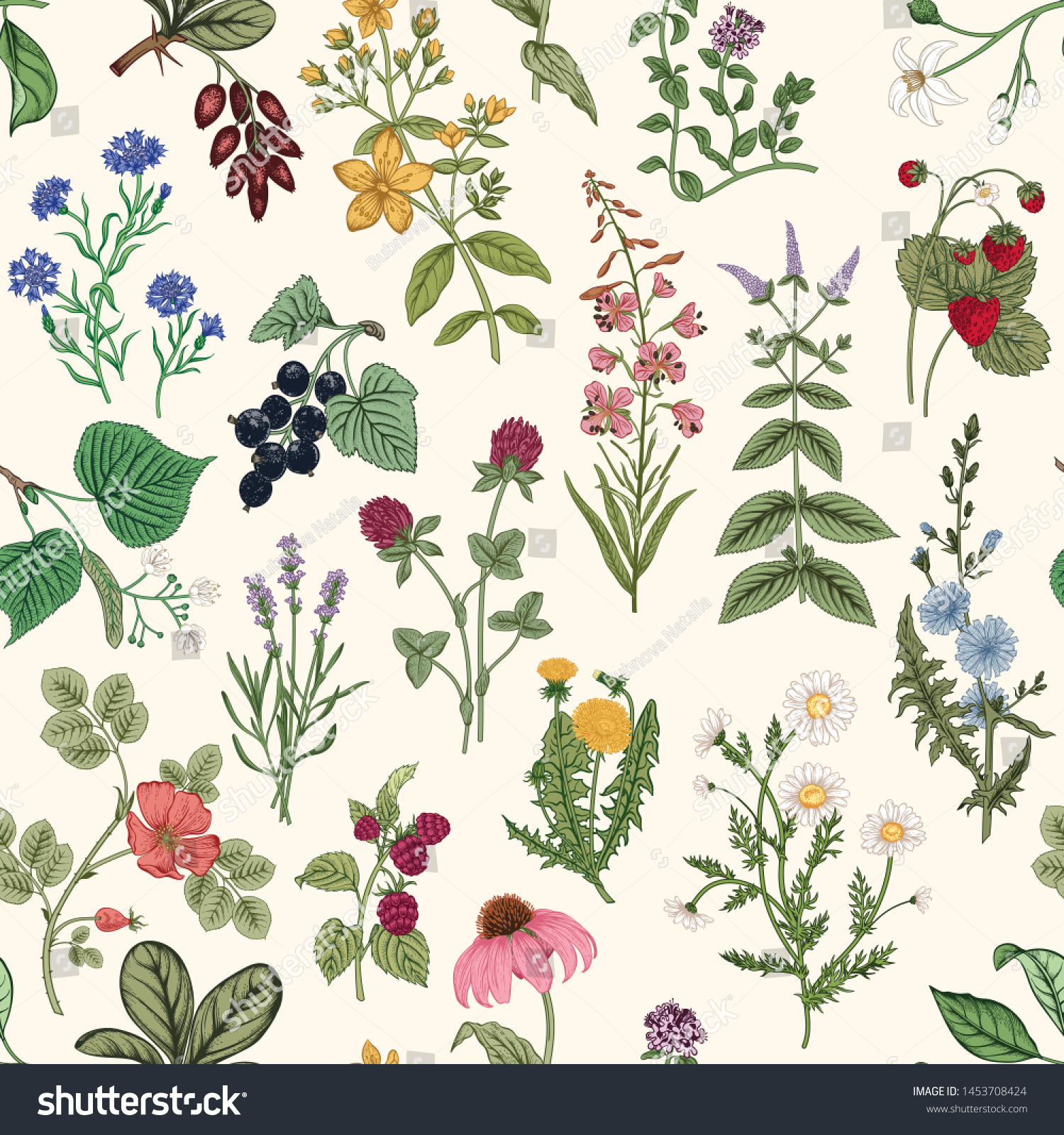 5,567,615 Garden botanical Images, Stock Photos & Vectors | Shutterstock