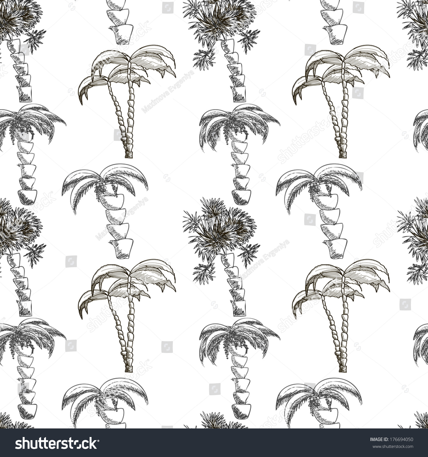Seamless Sketch Palms Background Vector Illustration: Stock ...
