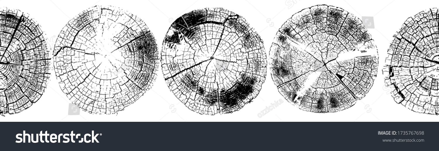 8,783 Row of trees Stock Vectors, Images & Vector Art | Shutterstock