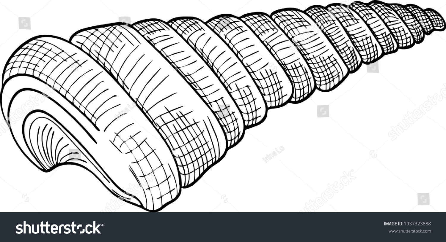 16,511 Shell engraving Images, Stock Photos & Vectors | Shutterstock