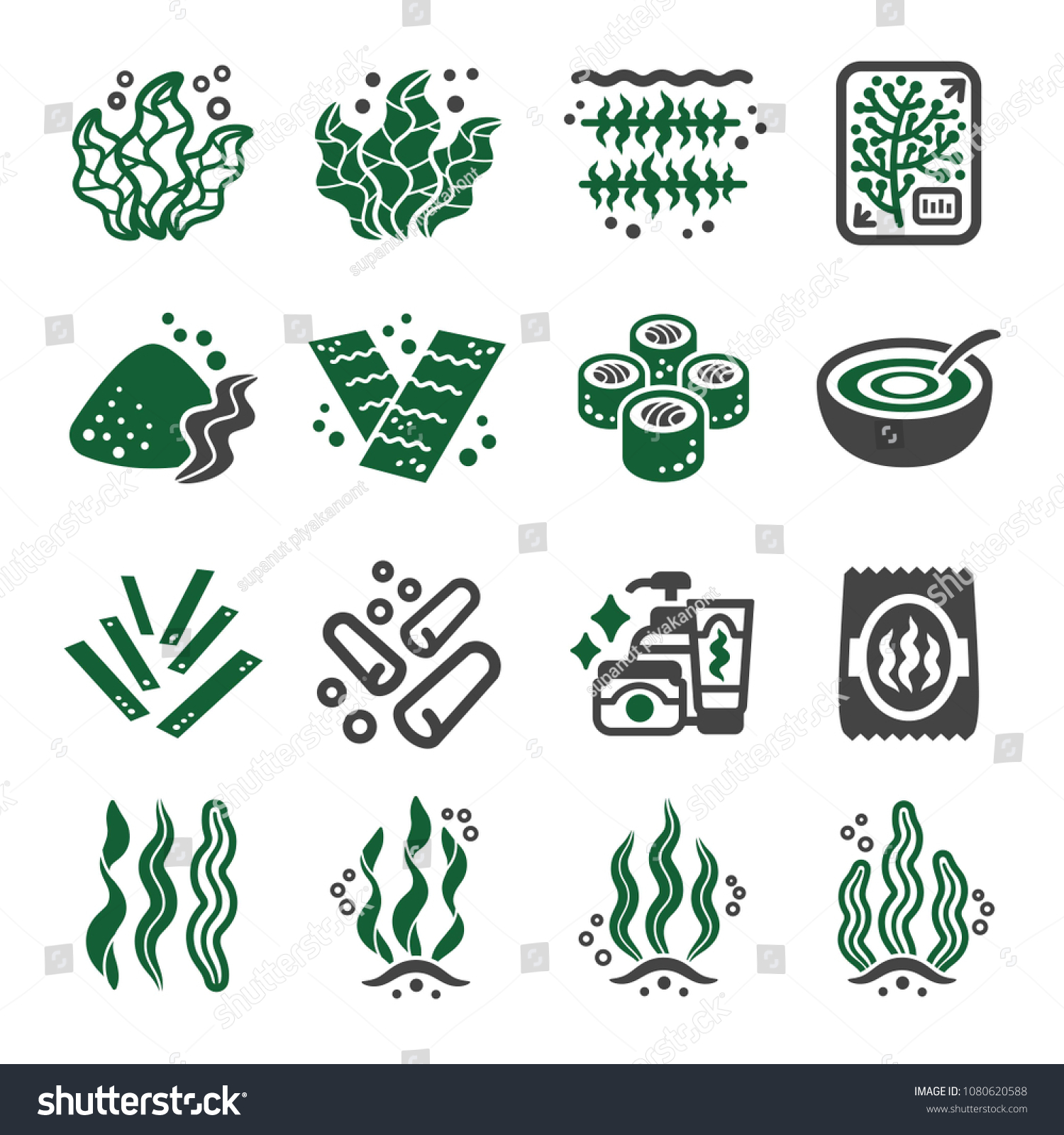 Seaweed Icon Set Stock Vector (Royalty Free) 1080620588