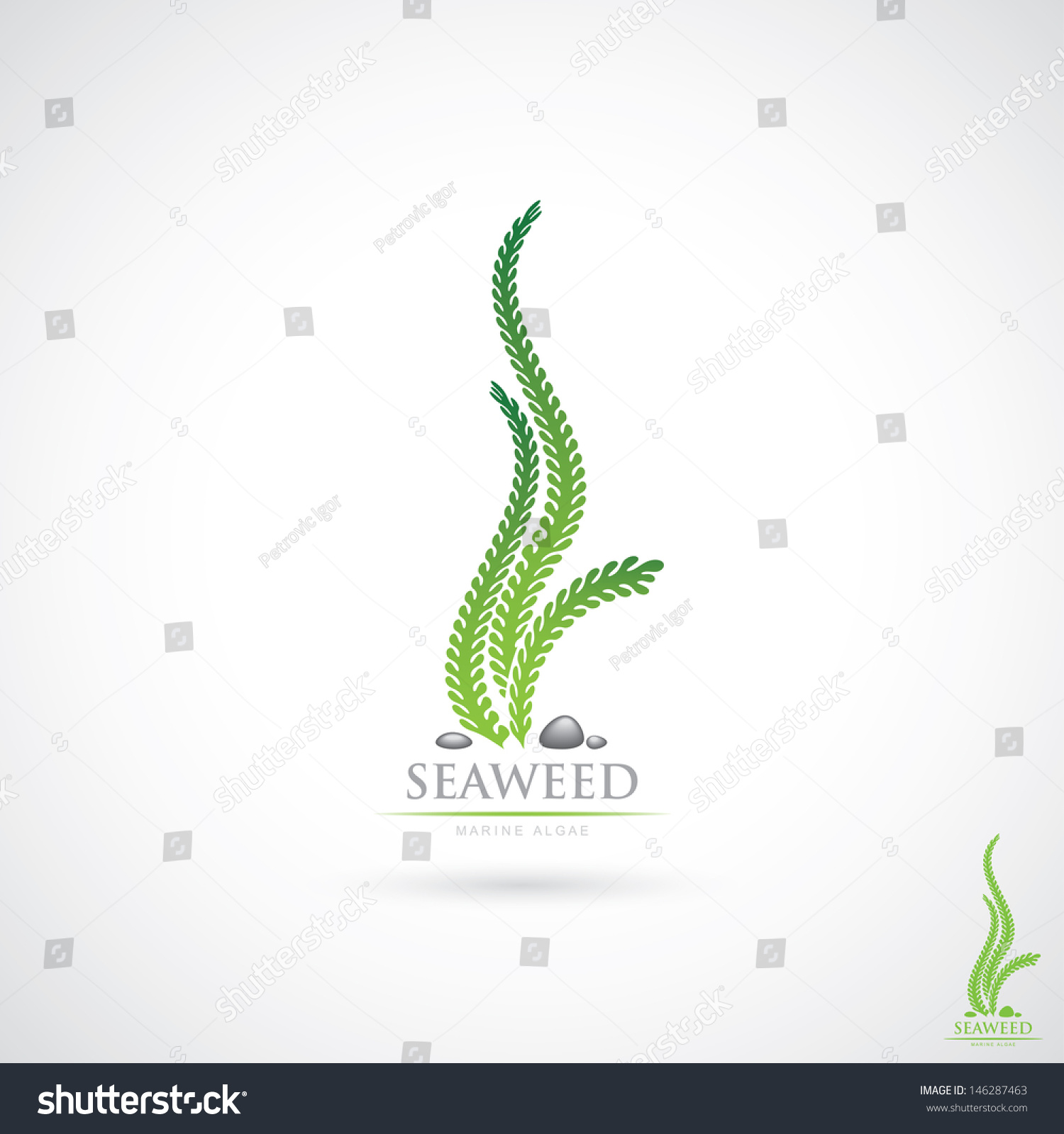 Seaweed Label Vector Illustration: เวกเตอร์สต็อก (ปลอดค่าลิขสิทธิ์ ...
