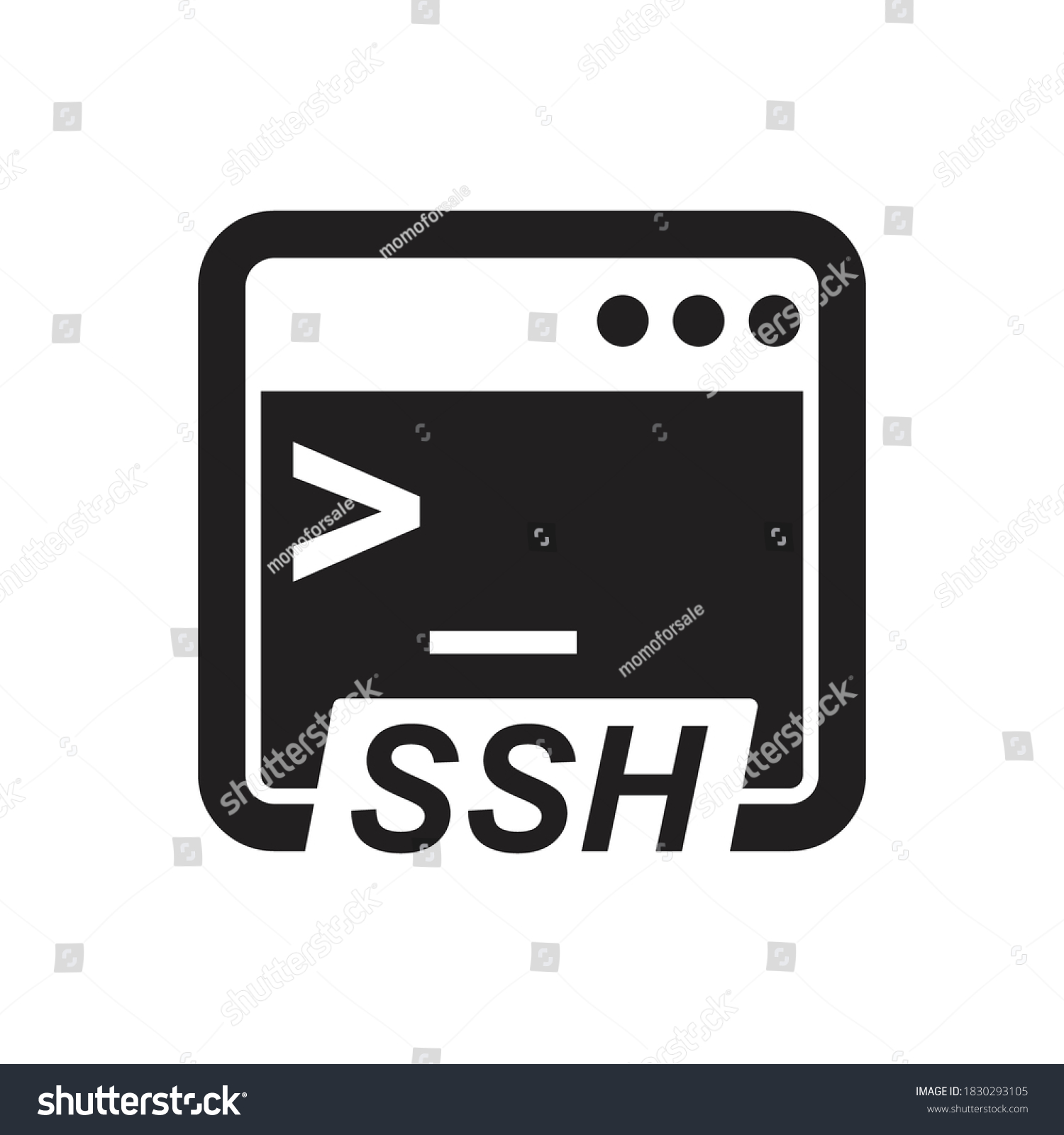 1,210 Ssh Images, Stock Photos & Vectors | Shutterstock