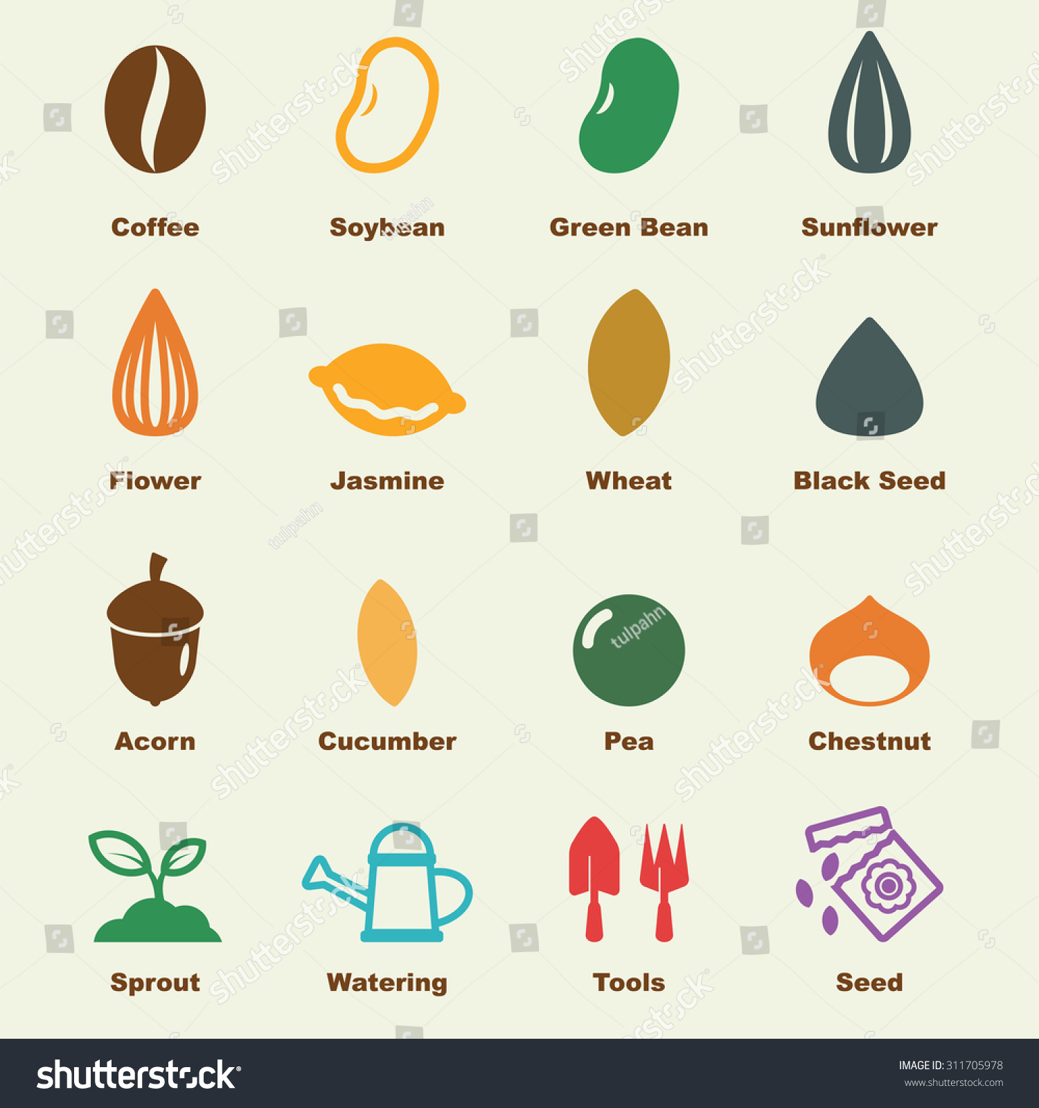 Seed Elements Vector Infographic Icons: vetor stock (livre de direitos ...