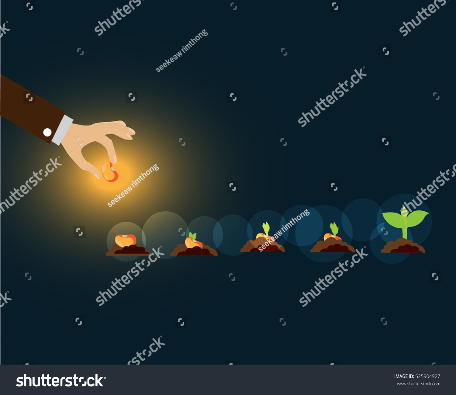Seed Germination On Soil Evolution Concept Stock Vector (Royalty Free ...