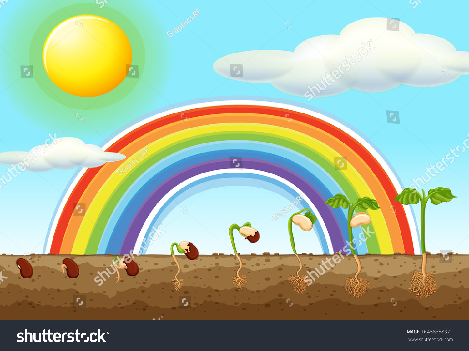 Seed Germination Process On Ground Illustration Stock Vector (Royalty ...