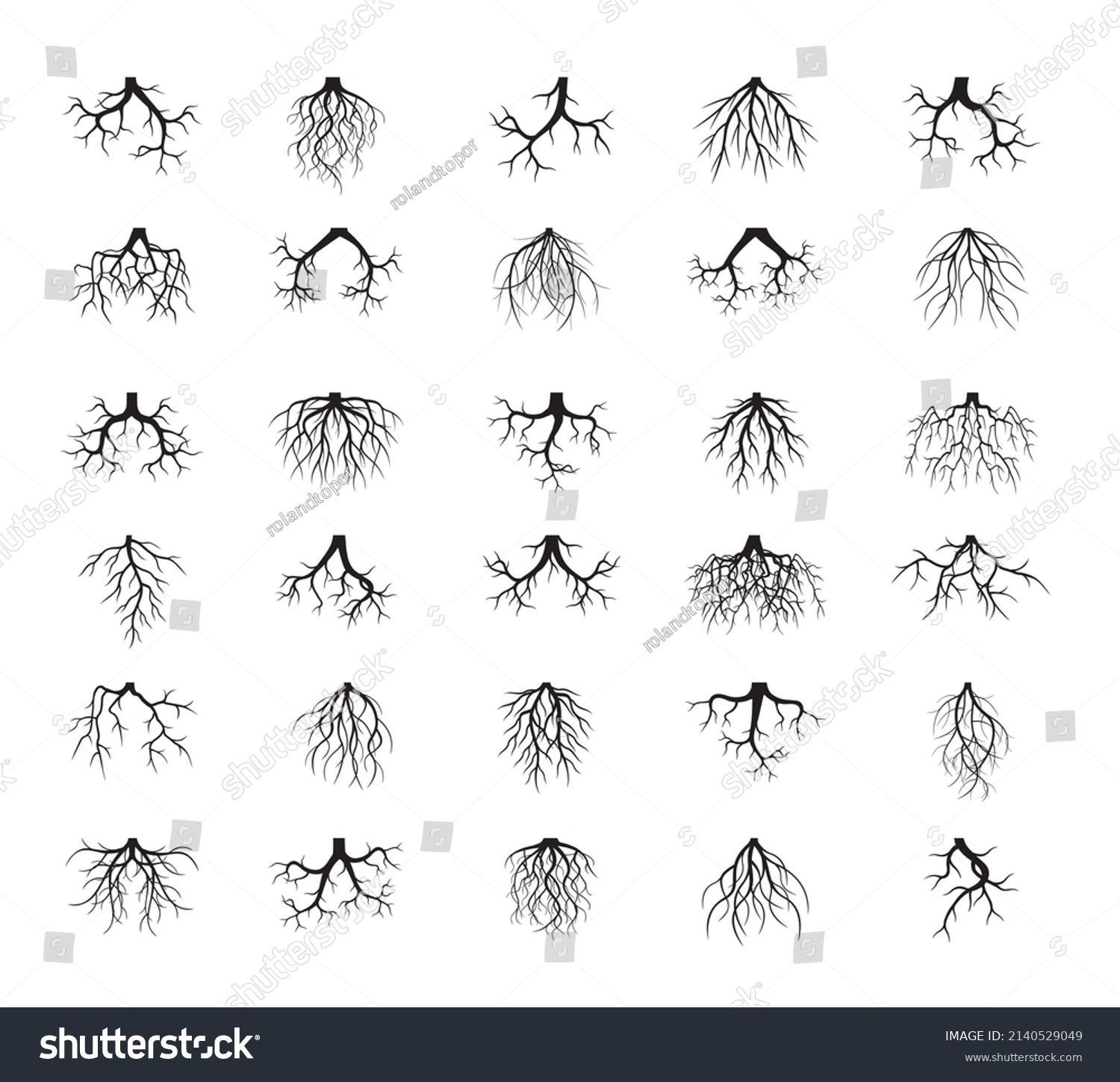 Set Black Roots Vector Outline Illustration Stock Vector (Royalty Free ...