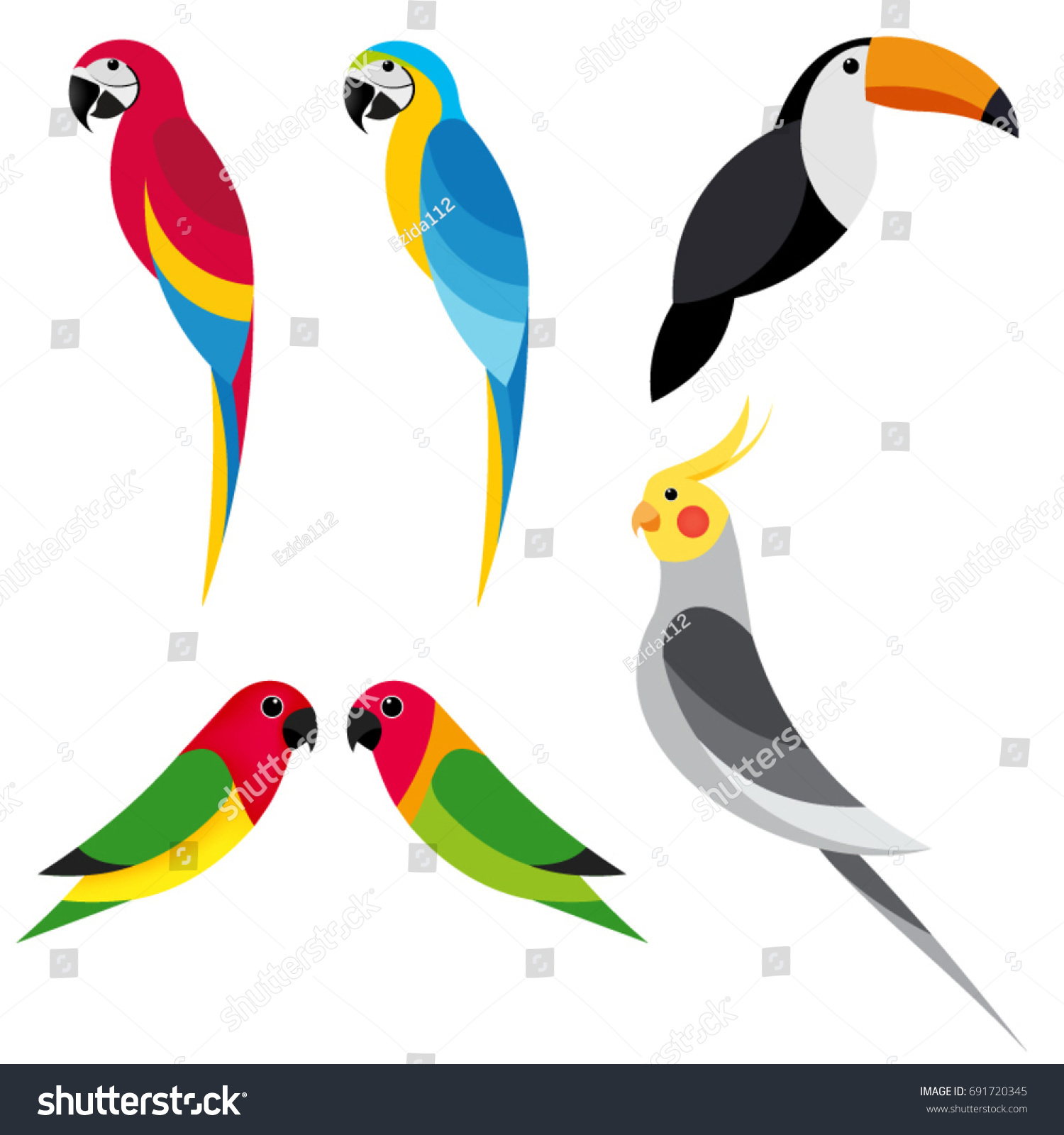 Set Flat Parrot On White Background Stock Vector (Royalty Free) 691720345