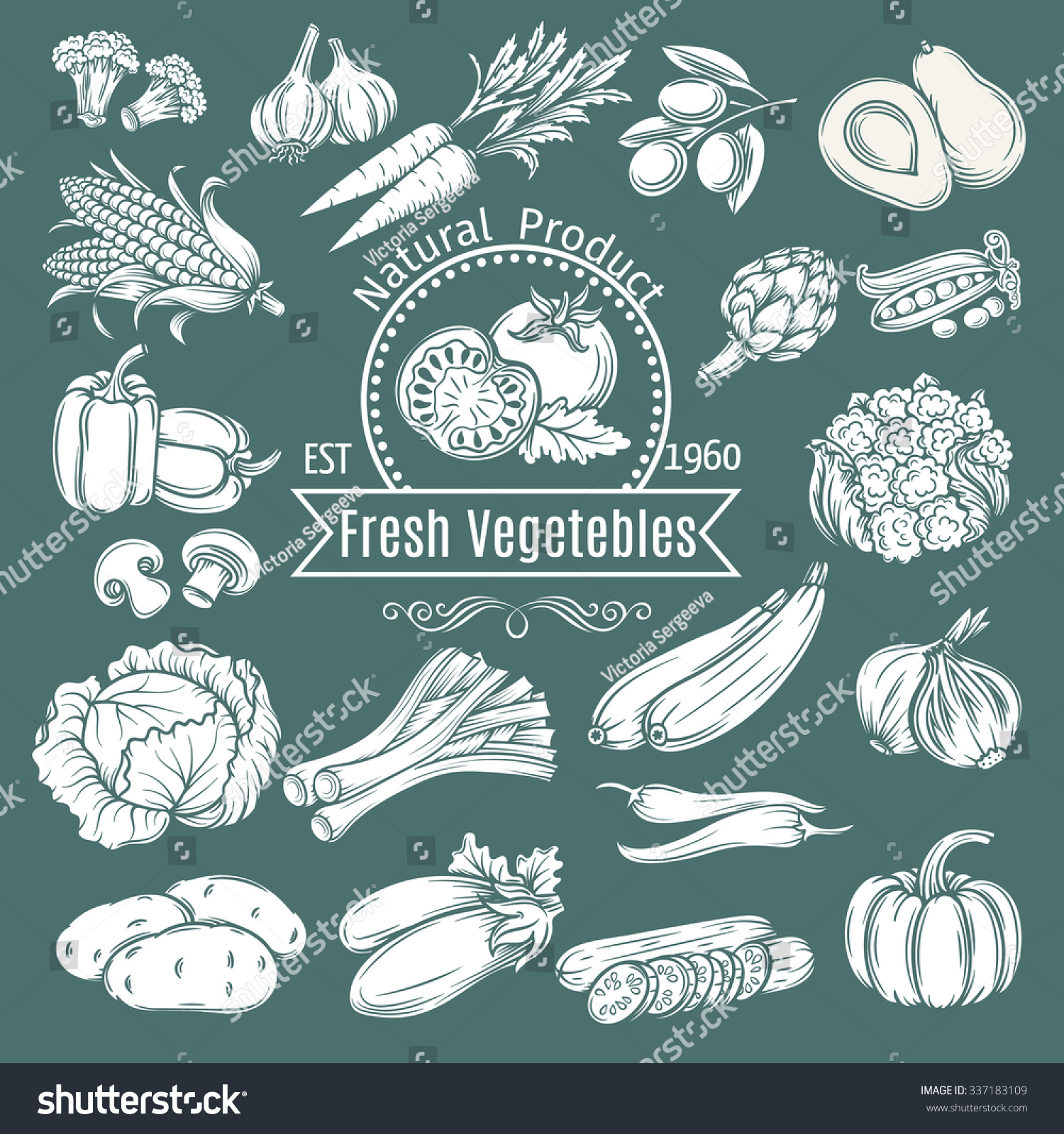 Set Hand Draw Decorative Isolated Vegetables Stock Vector (Royalty Free ...