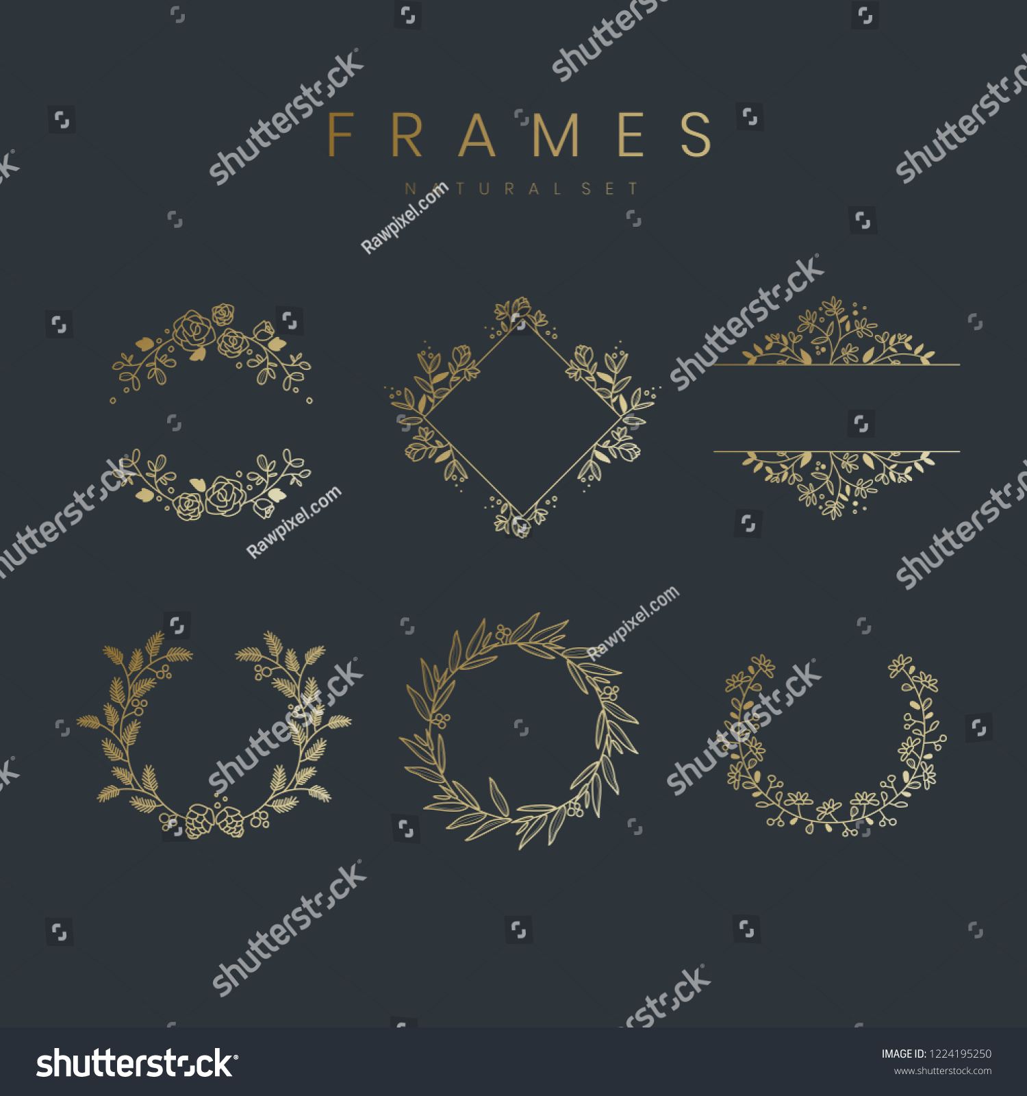Set Botanical Frame Design Elements Vector Stock Vector (Royalty Free ...