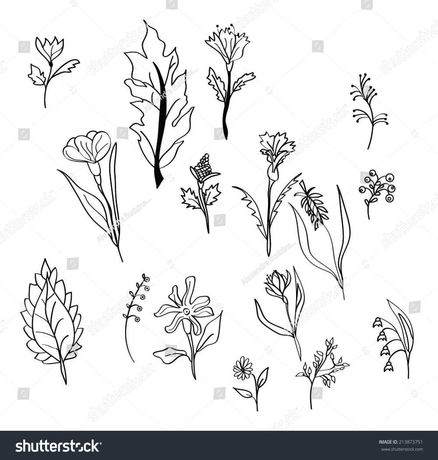 Set Different Flowers Vector Stock Vector (Royalty Free) 213873751