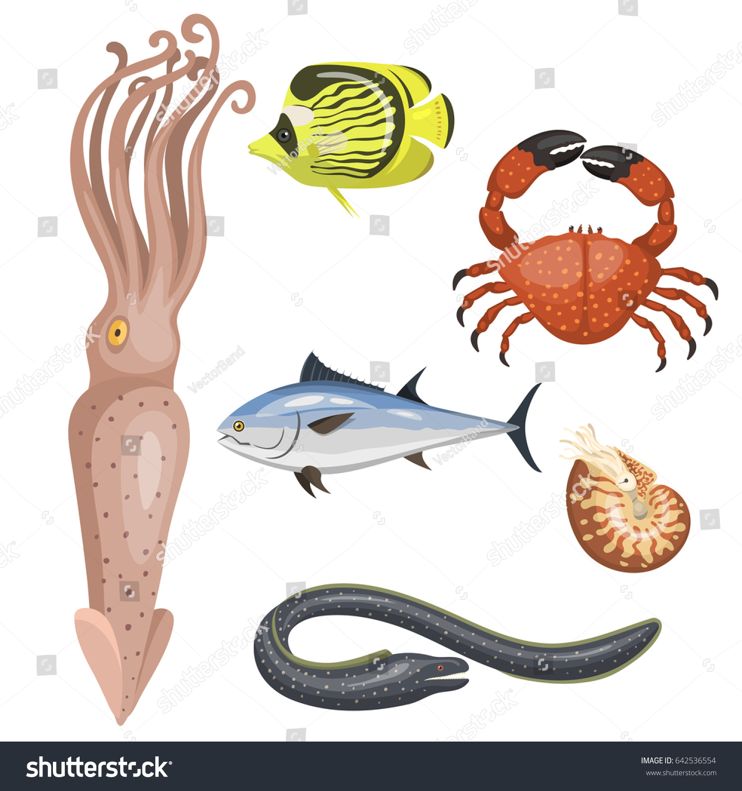 Set Different Types Sea Animals Illustration 스톡 벡터(로열티 프리) 642536554 ... Set Different Types Sea Animals Illustration 스톡 벡터(로열티 프리) 642536554 ...