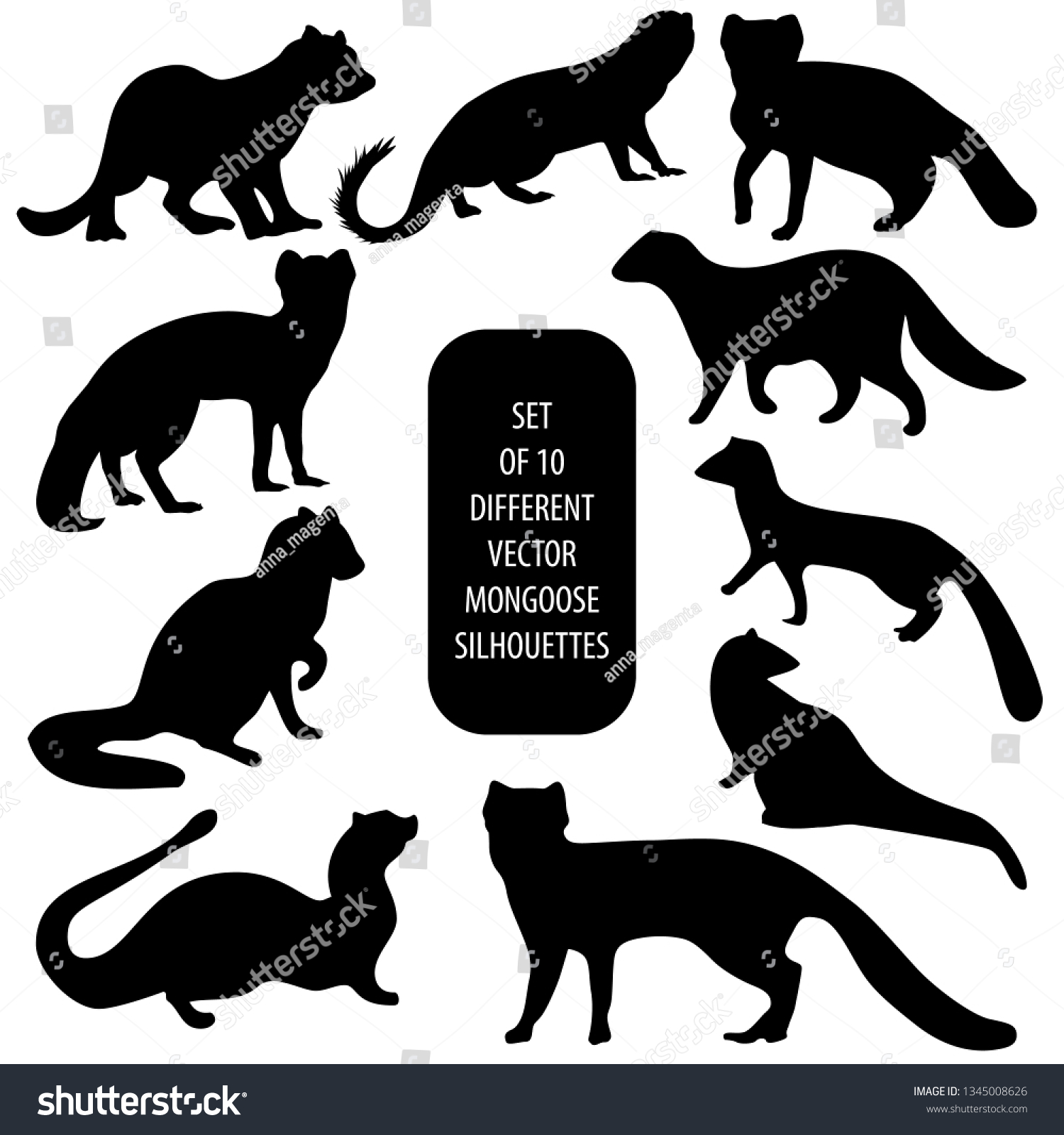 Set 10 Different Vector Mongoose Silhouettes: เวกเตอร์สต็อก (ปลอดค่า ...