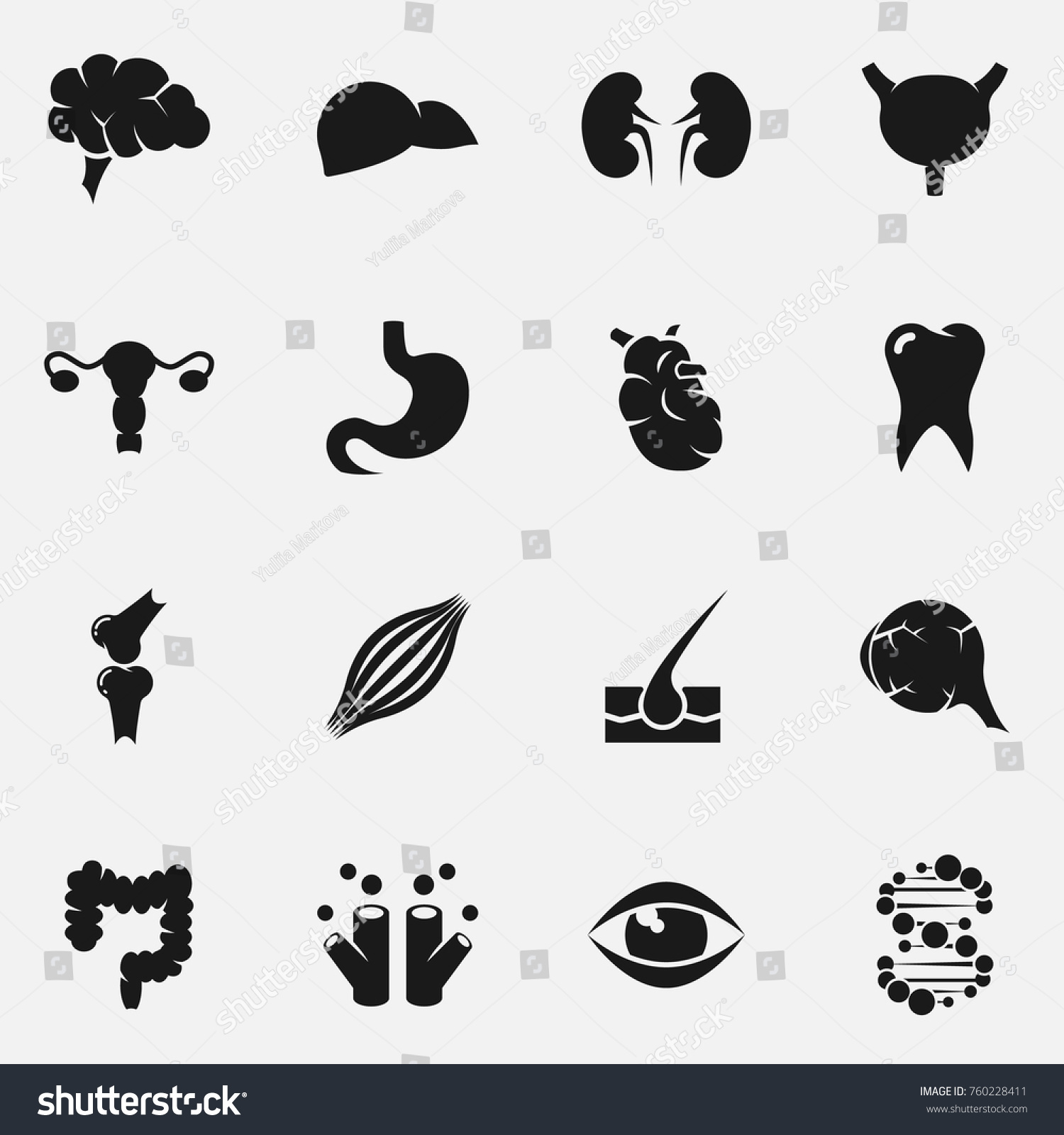 Set Internal Organs Vector Icons Stock Vector Royalty Free 760228411