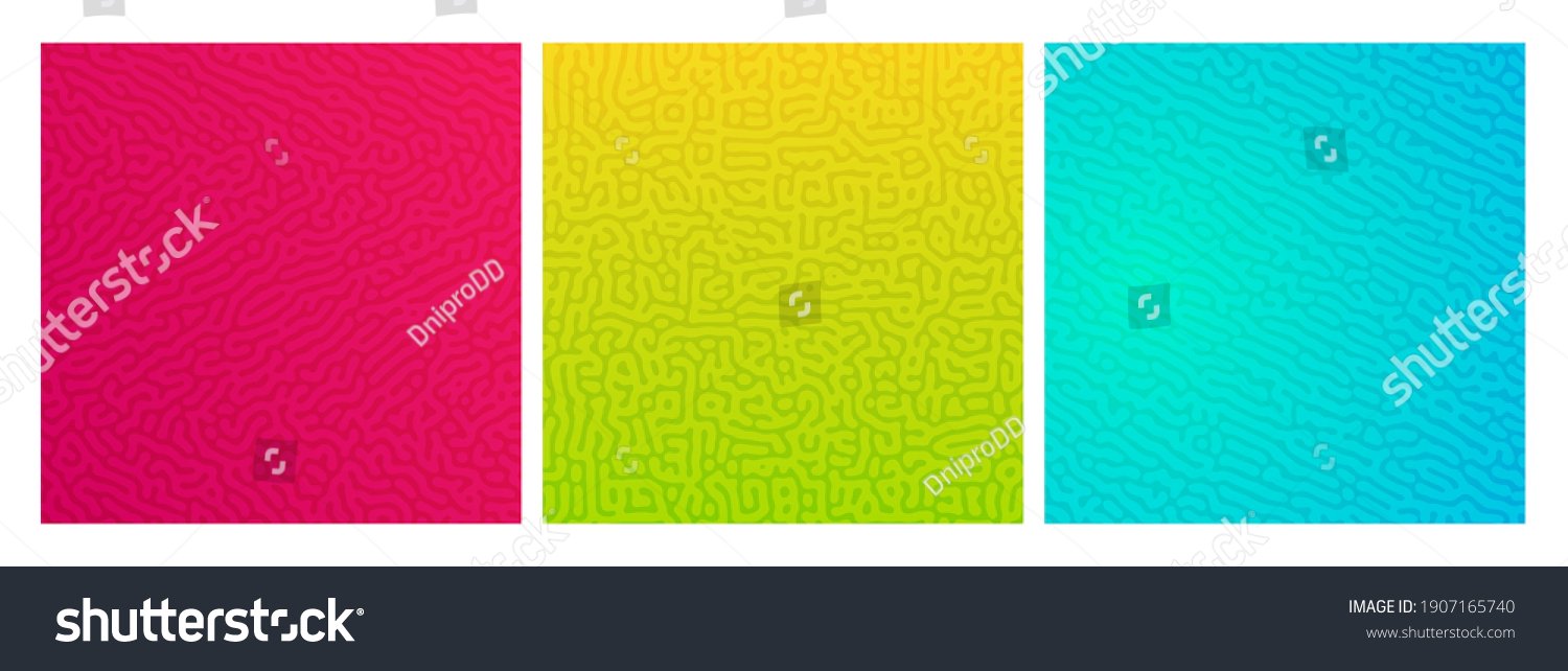 Set Three Colorful Turing Reaction Gradient Stock Vector Royalty Free 1907165740 Shutterstock
