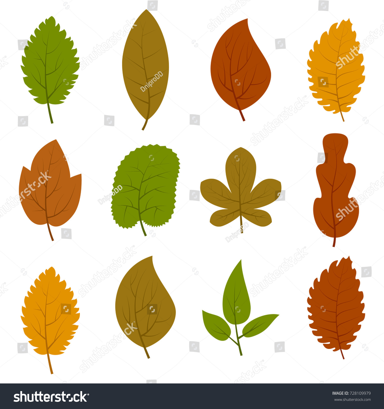 Set Twelve Different Autumn Leaves Isolated Stock Vector Royalty Free