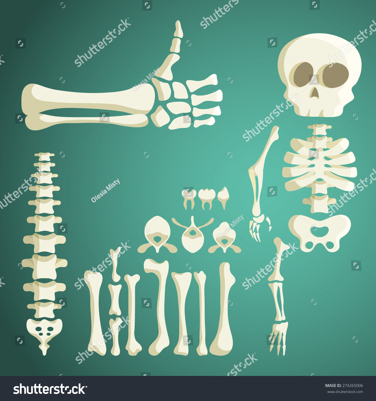 160,103 Bone cartoon Images, Stock Photos & Vectors | Shutterstock