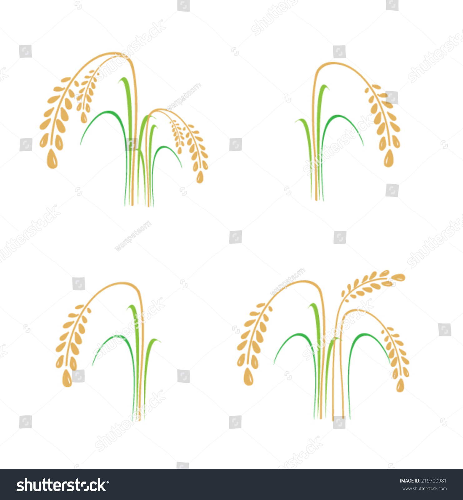 Set Rice Design On White Background Stock Vector 219700981 - Shutterstock