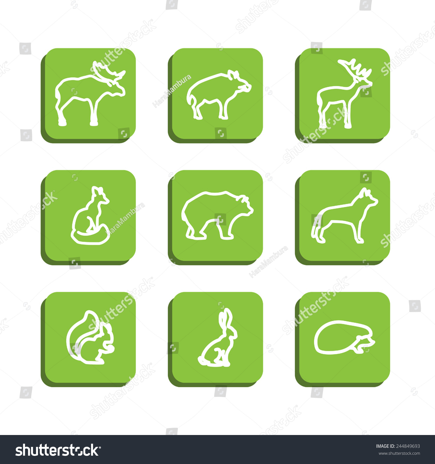 Set Icons Forest Animals Vector Stock Vector (Royalty Free) 244849693 ...
