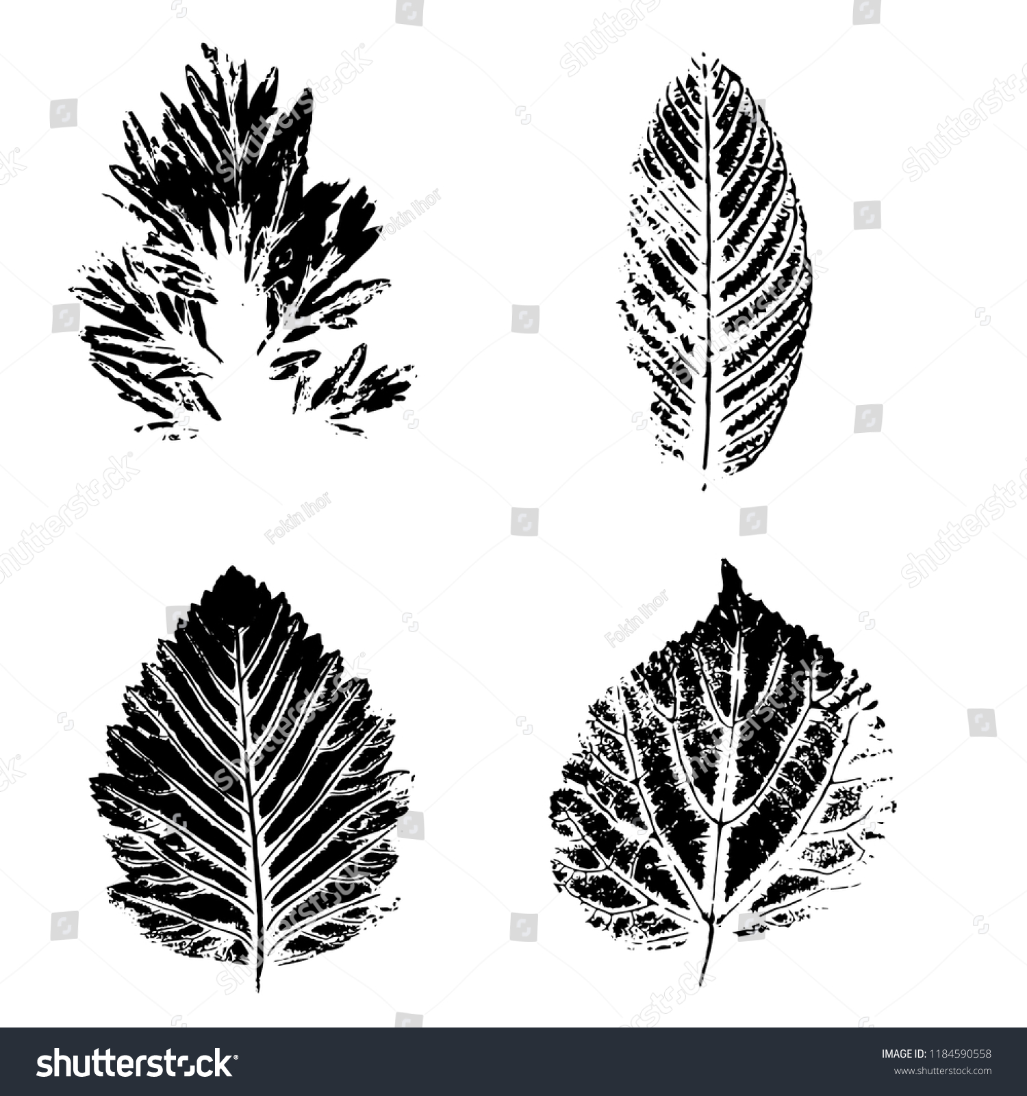 Set Stamp Leaves Objects Isolated On Stock Vector (Royalty Free ...