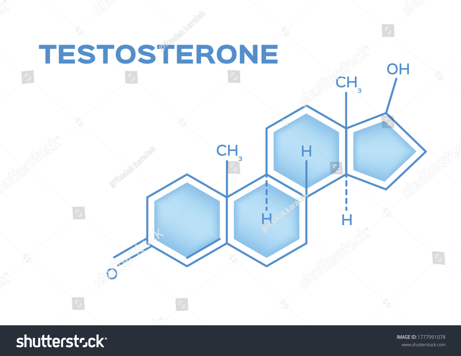 Sex Hormones Testosterone Vector On White Stock Vector Royalty Free
