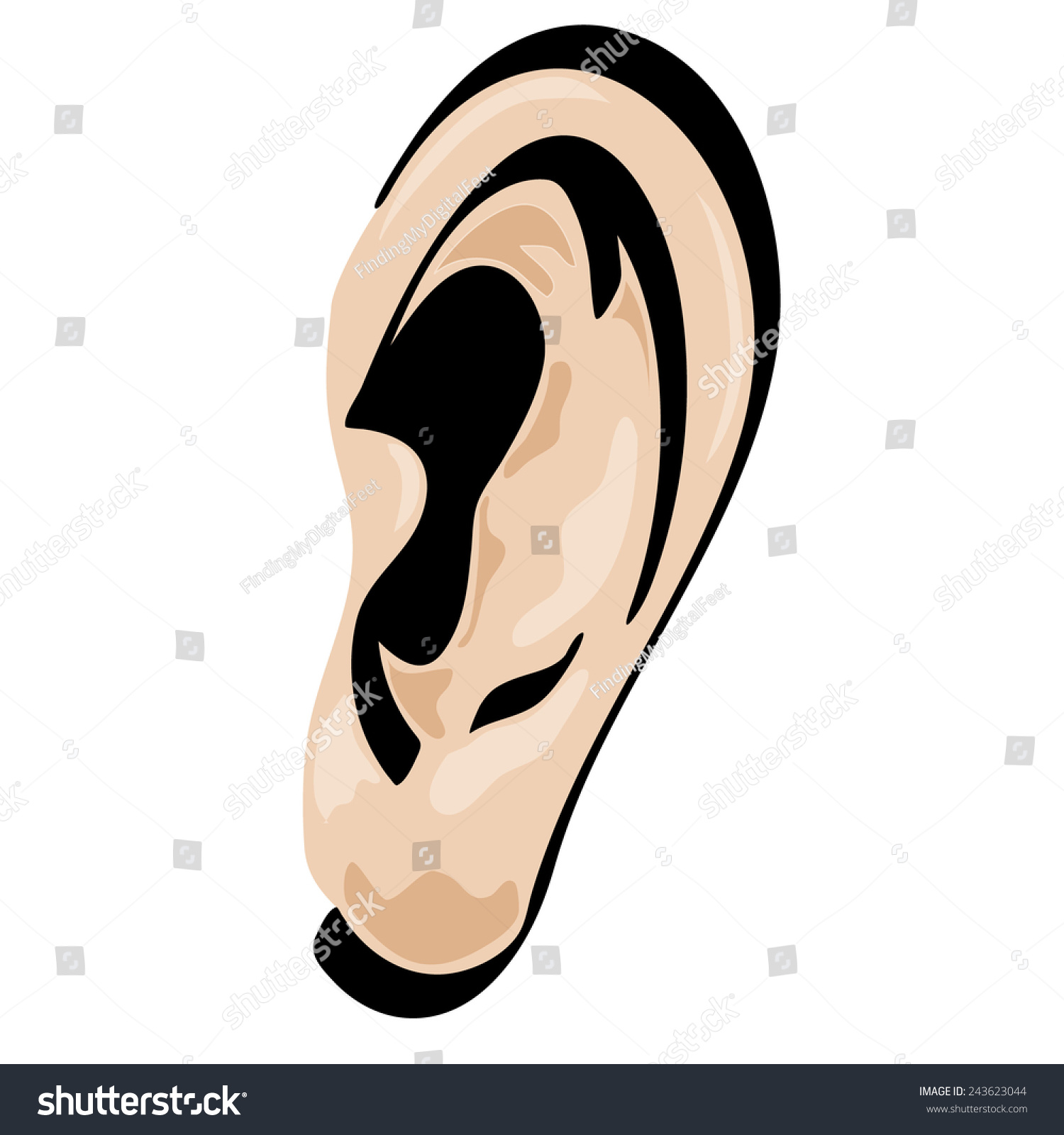 Shaded Ear Vector Cartoon Isolated Stock Vector (Royalty Free) 243623044