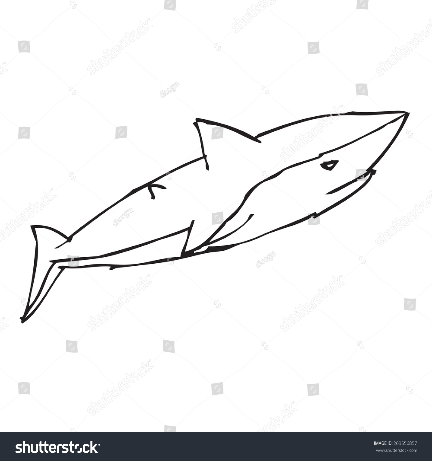 Shark Doodle Stock Vector (Royalty Free) 263556857 | Shutterstock