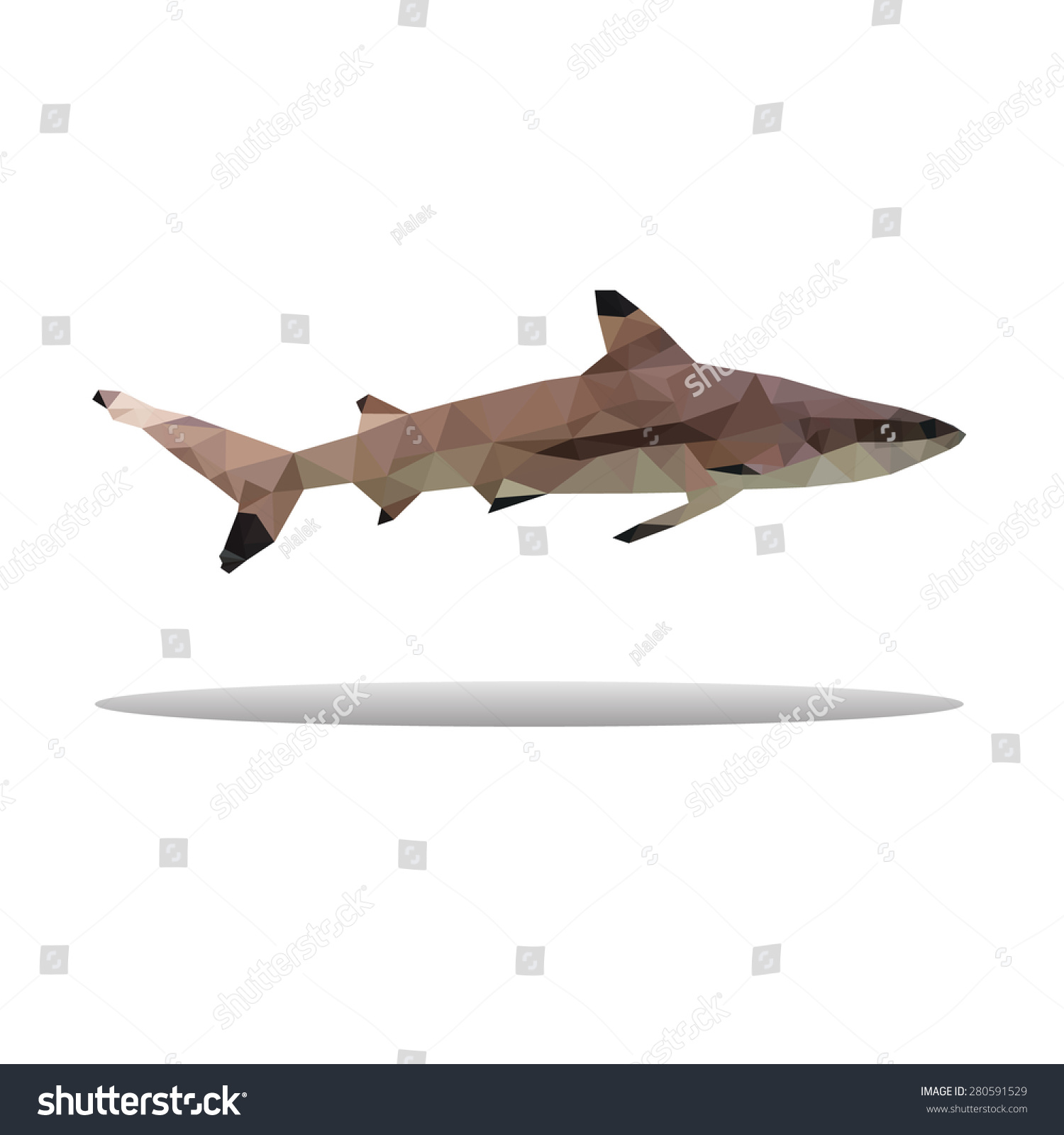 Shark Polygon Abstract Isolated On White Stock Vector (Royalty Free ...