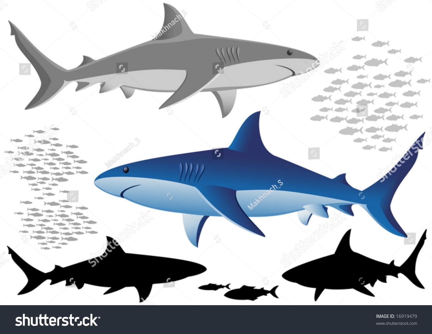 Sharks Fish Vector Stock Vector (Royalty Free) 16919479