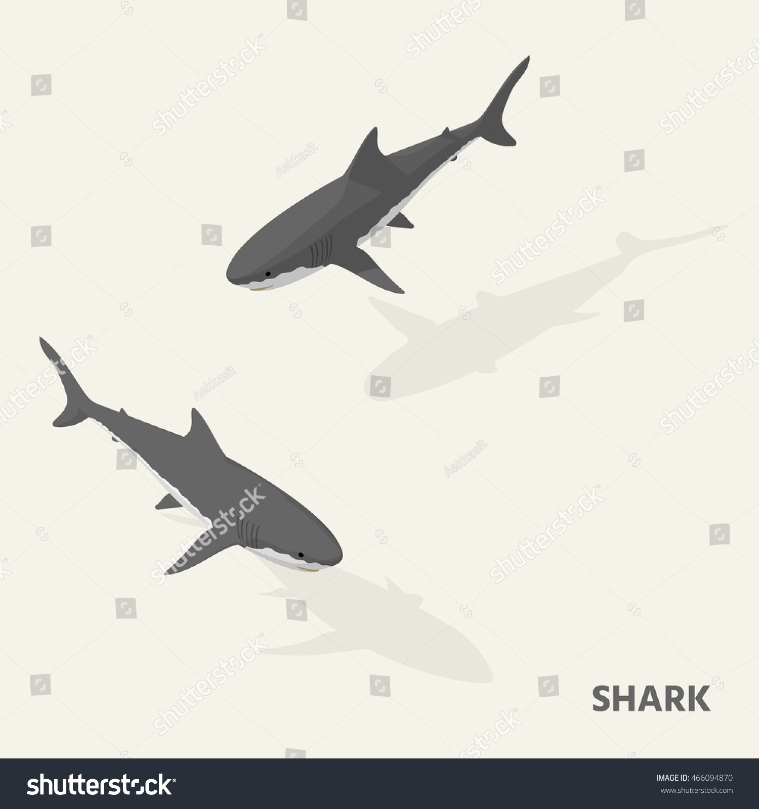 388 Shark isometric Stock Vectors, Images & Vector Art | Shutterstock