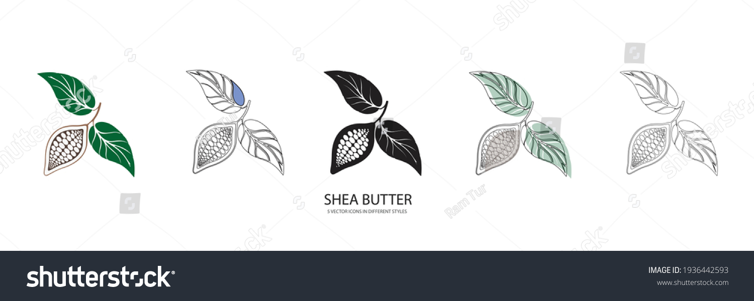 Vektor Stok Shea Butter Vector Type Icon (Tanpa Royalti) 1936442593 ...