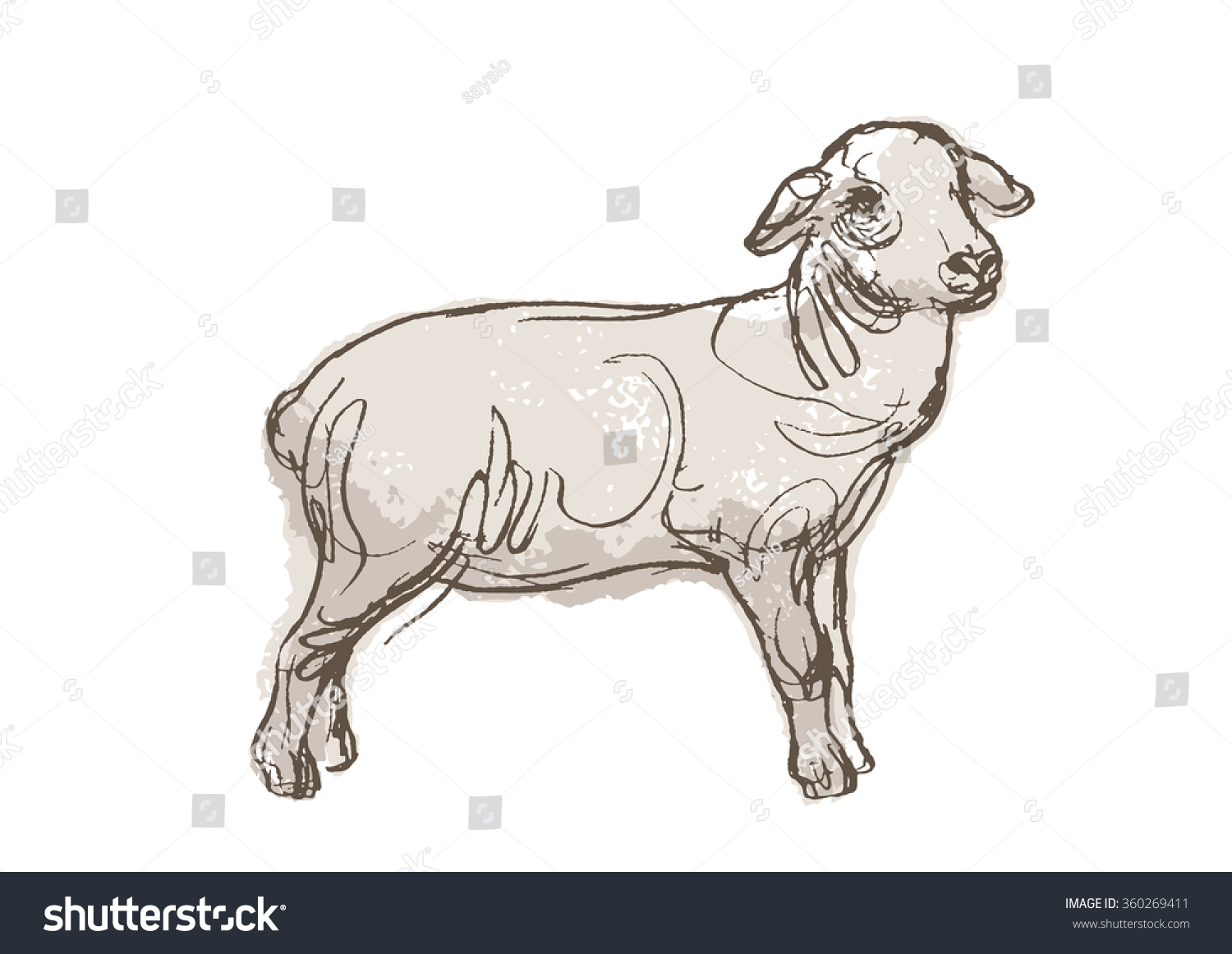 Sheep Hand Draw Sketch Vector Stock Vector (Royalty Free) 360269411