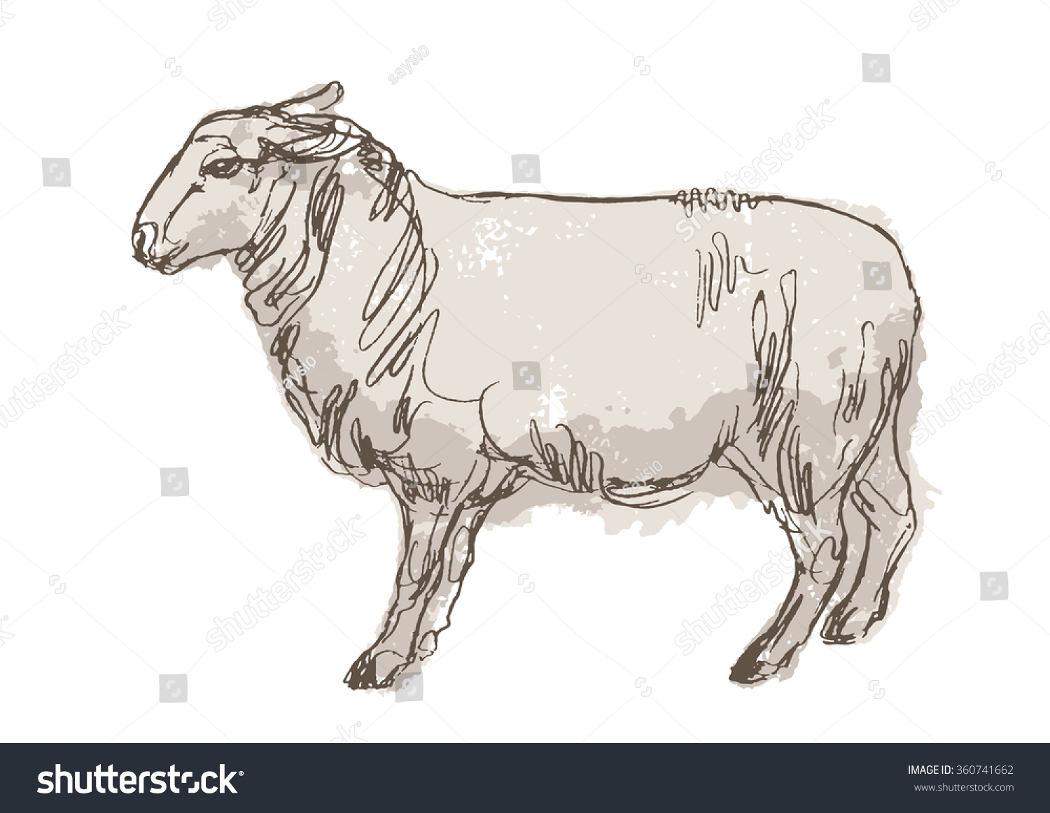 Sheep Hand Draw Sketch Vector Stock Vector (Royalty Free) 360741662 ...