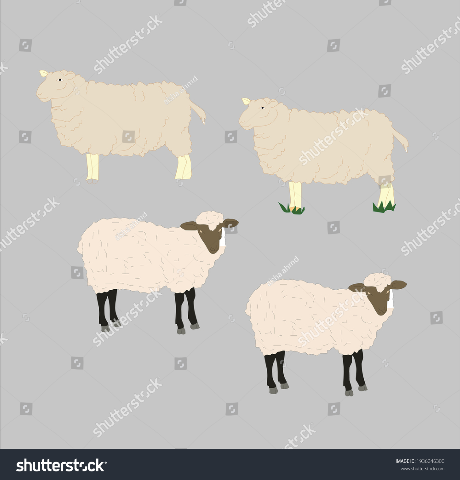 Sheep Illustration Set Vector Art Stock Vector (Royalty Free) 1936246300