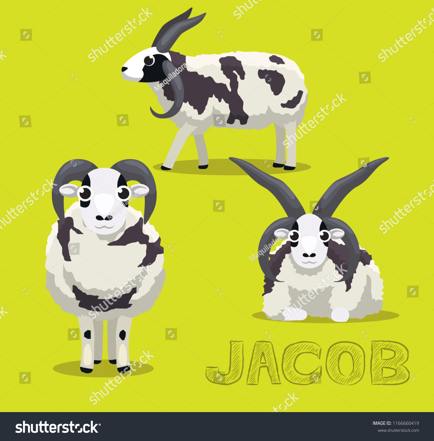Sheep Jacob Cartoon Vector Illustration Stock Vector (Royalty Free ...