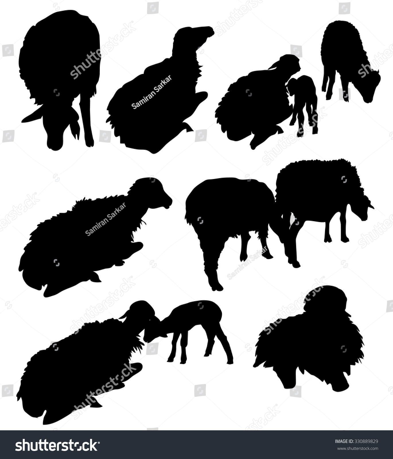Sheep & Lamb Vector Illustration - 330889829 : Shutterstock