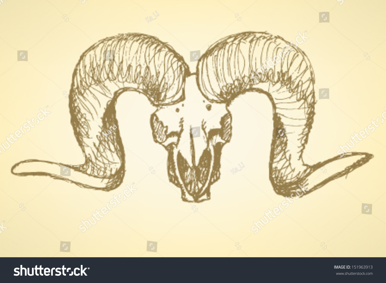 Sheep Skull Vector Sketch Background Stock Vector (Royalty Free) 151963913