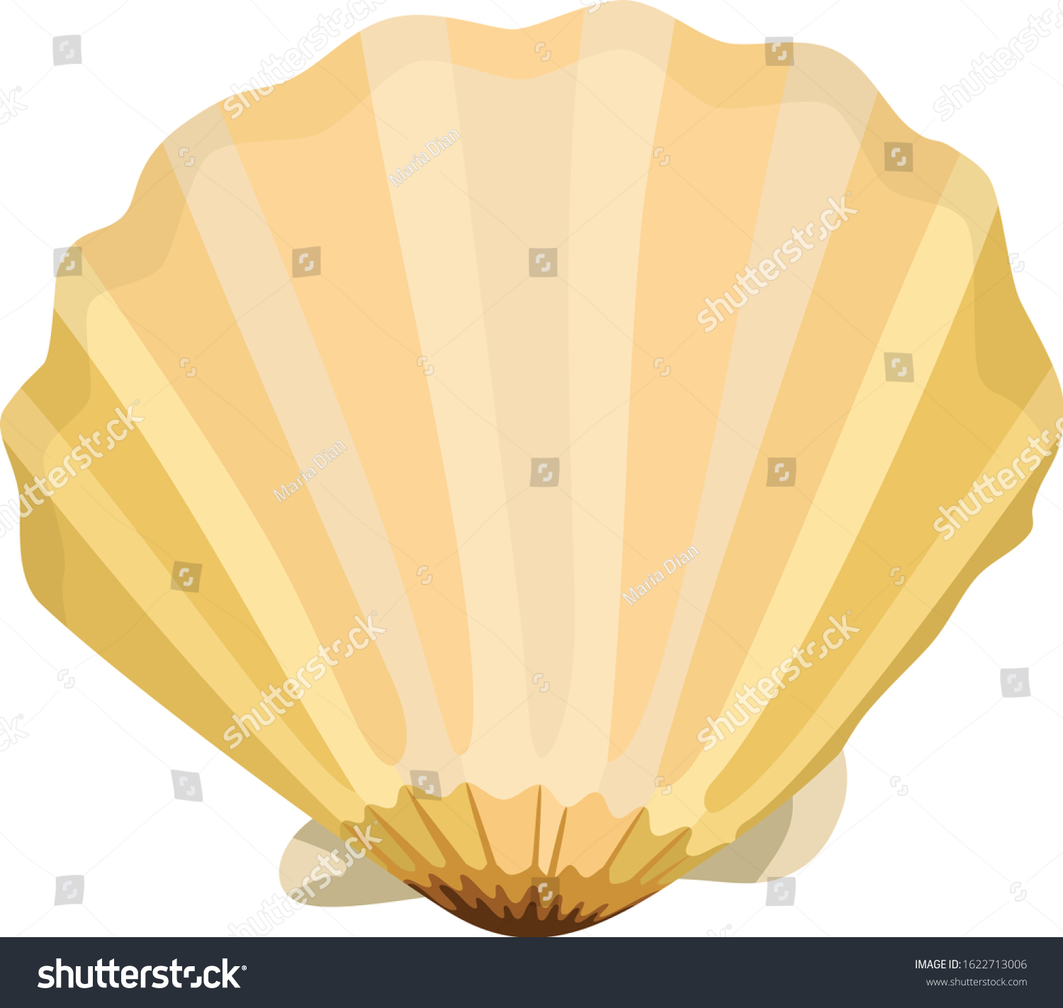 Shell Beach Animal Vector Illustration Stock Vector (Royalty Free ...