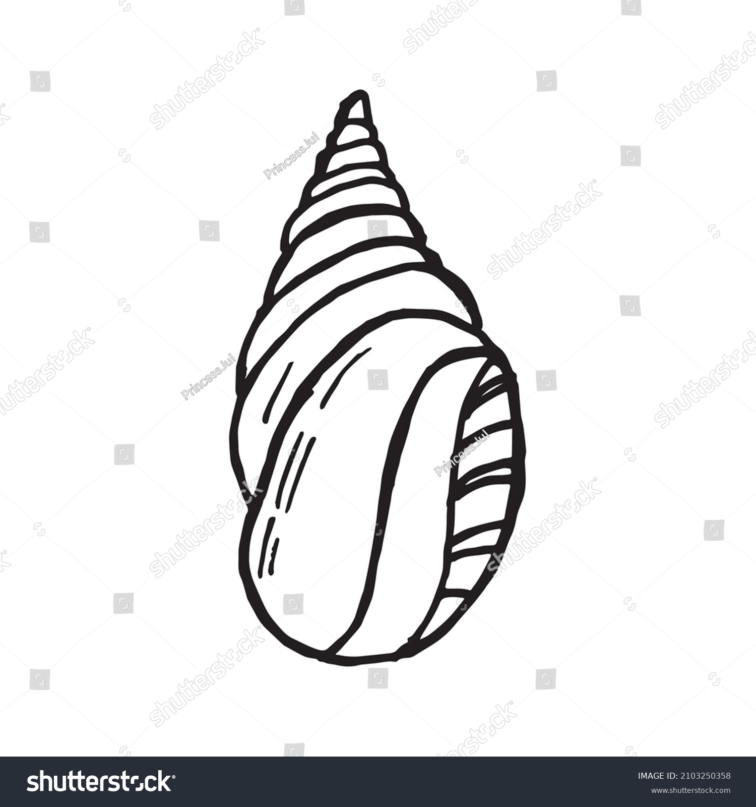Shells Doodle Set Handdrawn Vector Sea Stock Vector (Royalty Free ...