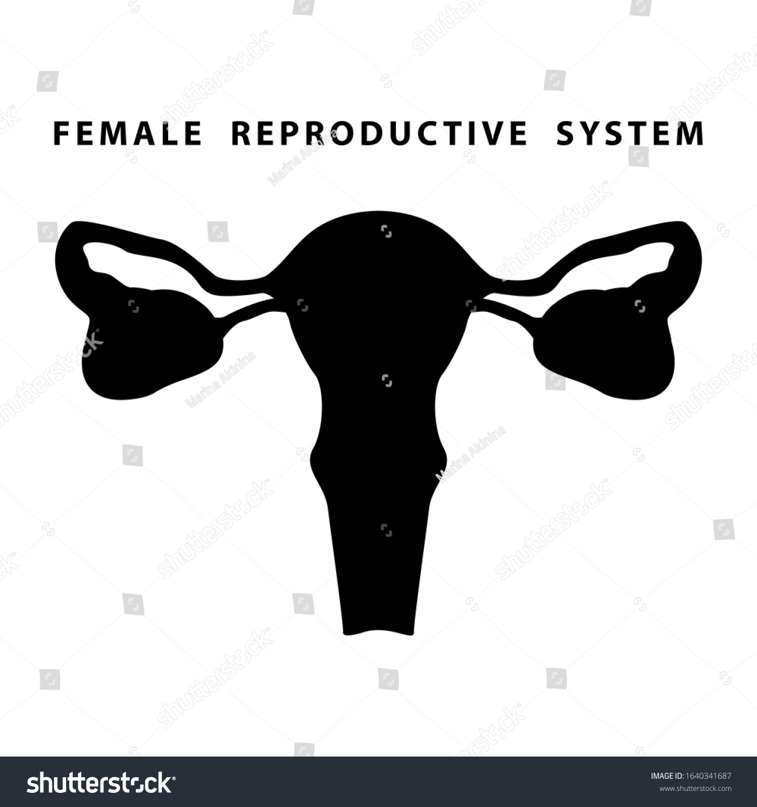 Silhouette Female Reproductive Organs Outline Icon เวกเตอร์สต็อก ปลอด