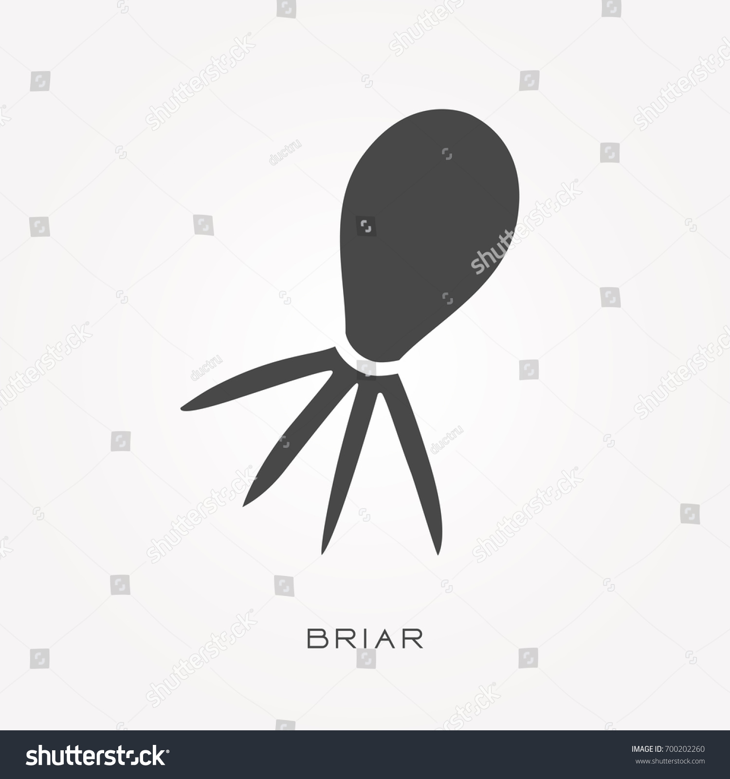 Silhouette Icon Briar Stock Vector (Royalty Free) 700202260 | Shutterstock